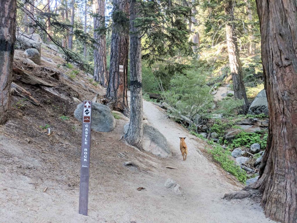 Castle Rock – Peakish Hikers